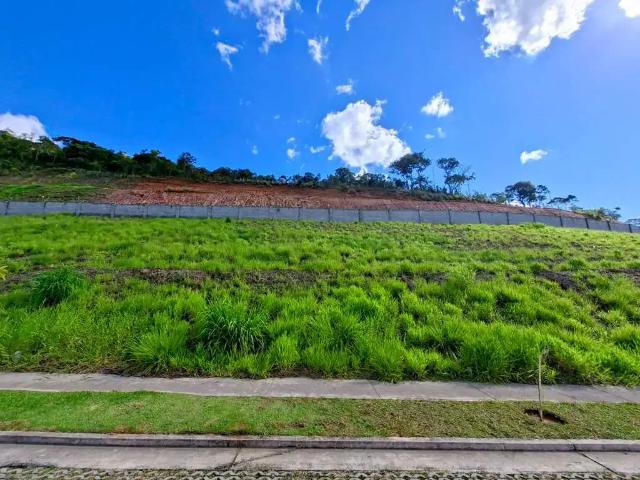 Terreno em Condomínio para Venda em Juiz de Fora/MG Vina Del Mar
