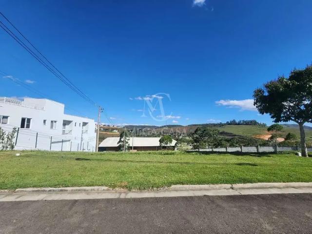 Terreno em Condomínio para Venda em Juiz de Fora/MG Alphaville