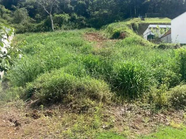 Terreno em Condomínio para Venda em Juiz de Fora/MG Novo Horizonte