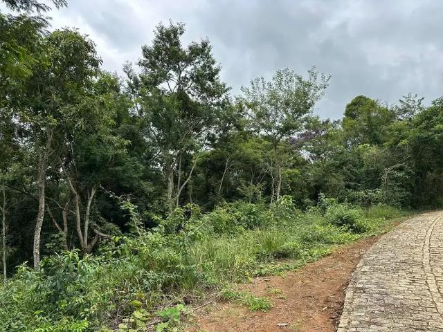 Terreno em Condomínio para Venda em Juiz de Fora/MG Novo Horizonte