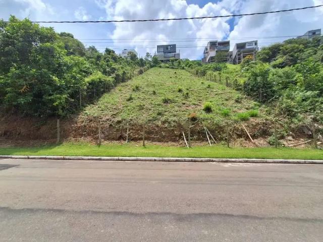 Terreno em Condomínio para Venda em Juiz de Fora/MG Novo Horizonte