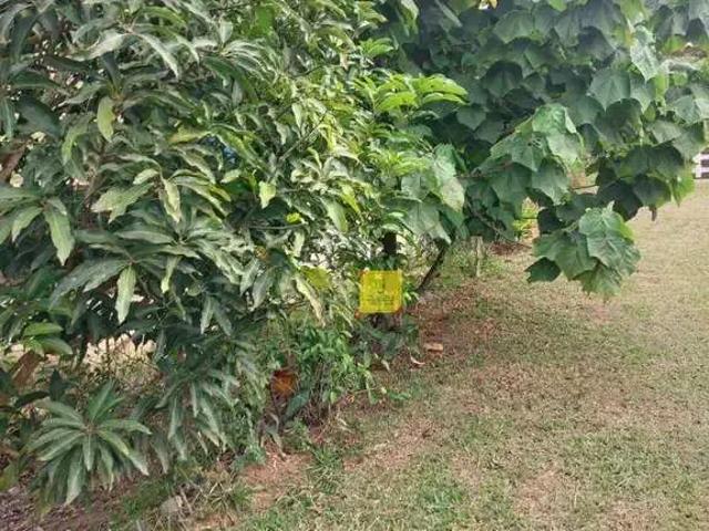 Terreno em Condomínio para Venda em Juiz de Fora/MG Novo Horizonte