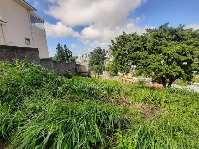 Terreno em Condomínio para Venda em Juiz de Fora/MG São Pedro