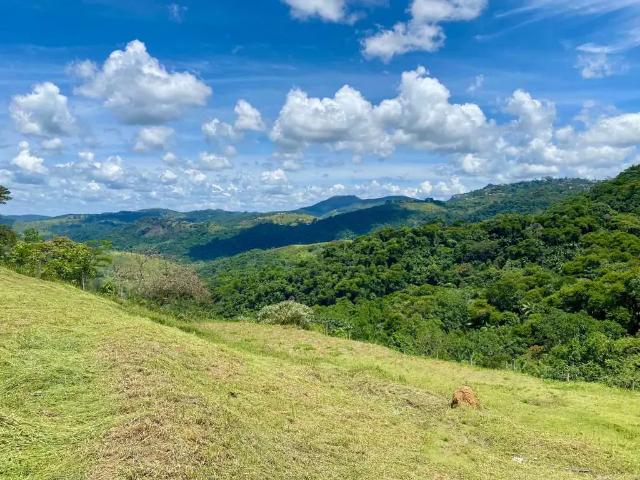 Terreno em Condomínio para Venda em Juiz de Fora/MG Salvaterra