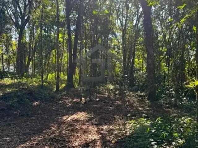 Terreno em Condomínio para Venda em Juquitiba/SP Centro