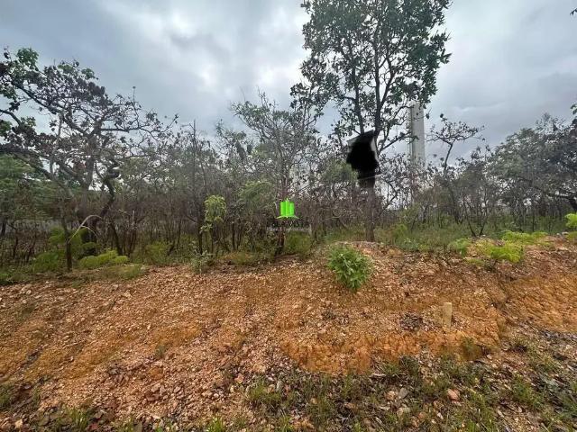 Terreno em Condomínio para Venda em Lagoa Santa/MG Mariposas