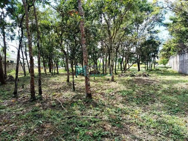 Terreno em Condomínio para Venda em Lagoa Santa/MG Mirante Do Fidalgo