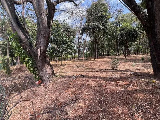 Terreno em Condomínio para Venda em Lagoa Santa/MG Estância das Amendoeiras