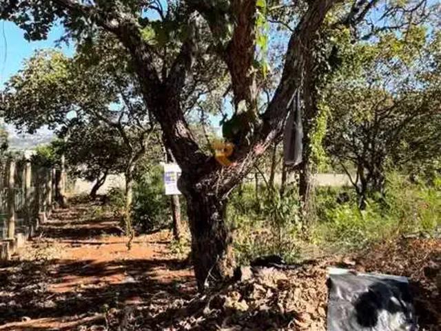 Terreno em Condomínio para Venda em Lagoa Santa/MG Joá