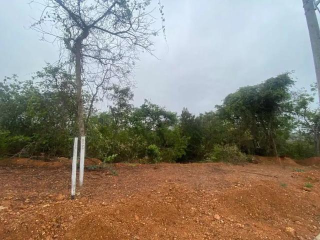 Terreno em Condomínio para Venda em Lagoa Santa/MG Lagoinha de Fora