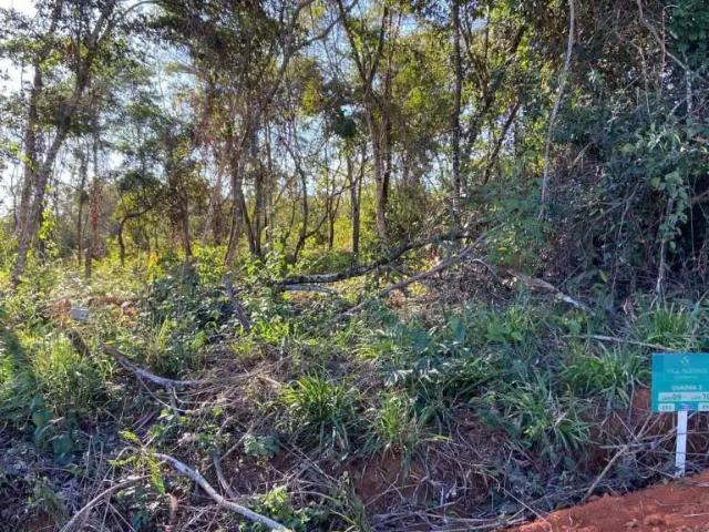 Terreno em Condomínio para Venda em Lagoa Santa/MG Vila Dos Albanos Residencial