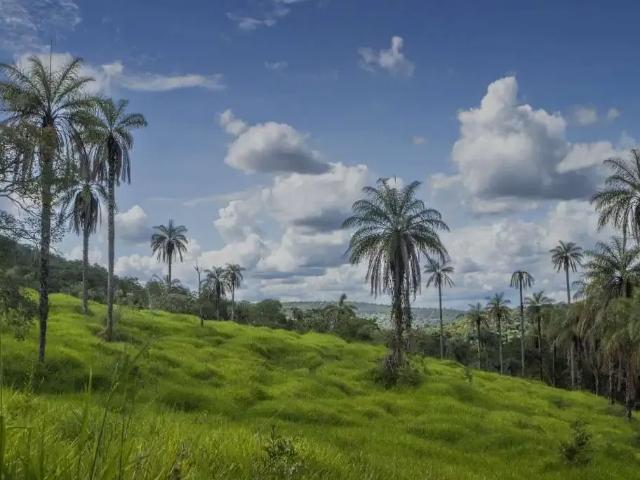 Terreno em Condomínio para Venda em Lagoa Santa/MG Zona Rural