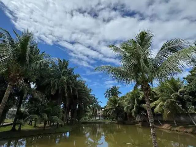 Terreno em Condomínio para Venda em Lauro de Freitas/BA Portão