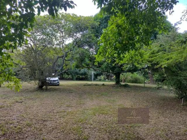 Terreno em Condomínio para Venda em Lauro de Freitas/BA Portão