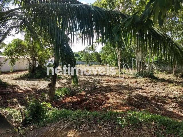 Terreno em Condomínio para Venda em Lauro de Freitas/BA Portão