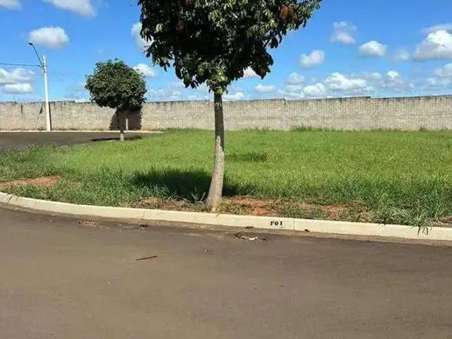 Terreno em Condomínio para Venda em Leme/SP Jardim Água Espraiada