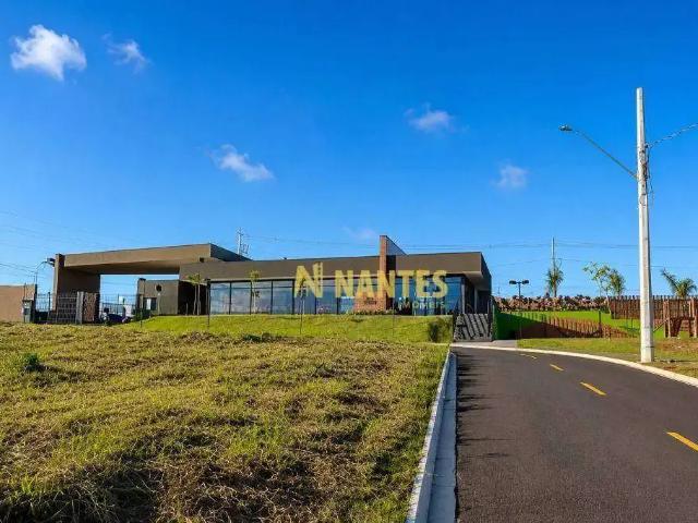 Terreno em Condomínio para Venda em Londrina/PR Parque Tauá