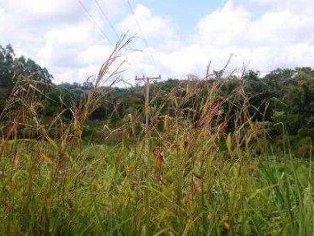 Terreno em Condomínio para Venda em Londrina/PR Património Regina