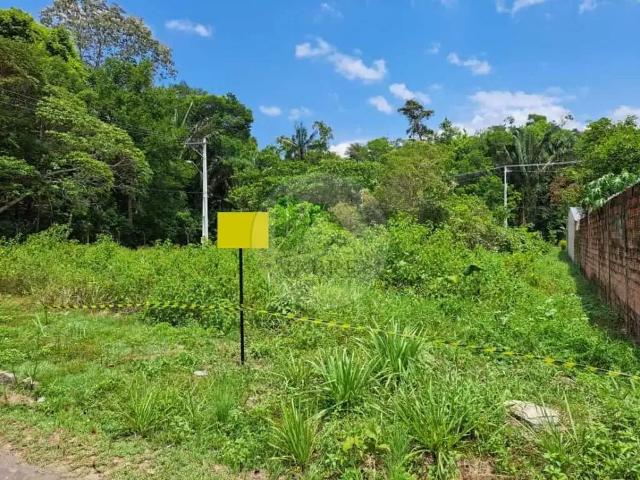 Terreno em Condomínio para Venda em Manaus/AM Ponta Negra
