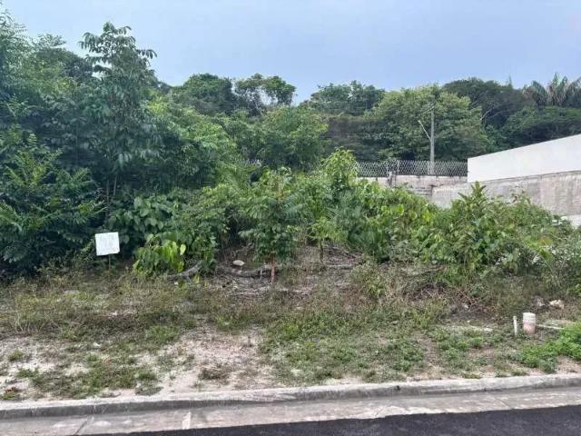 Terreno em Condomínio para Venda em Manaus/AM Ponta Negra