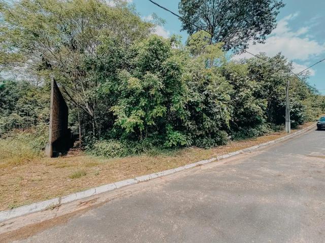Terreno em Condomínio para Venda em Manaus/AM Ponta Negra