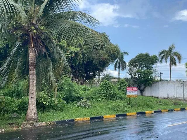 Terreno em Condomínio para Venda em Manaus/AM Ponta Negra