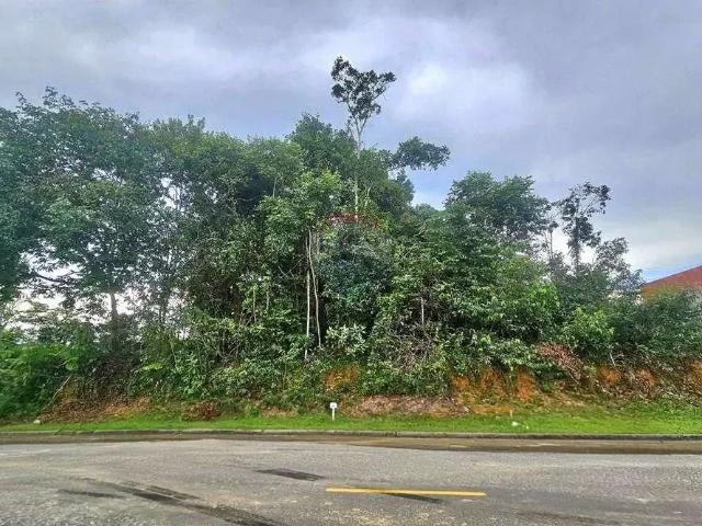Terreno em Condomínio para Venda em Manaus/AM Ponta Negra