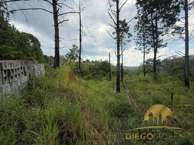 Terreno em Condomínio para Venda em Mairiporã/SP Canjica Terra Preta