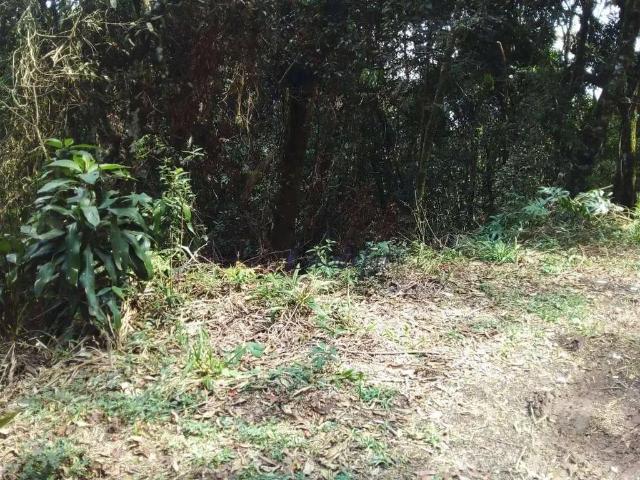 Terreno em Condomínio para Venda em Mairiporã/SP Caraguatá