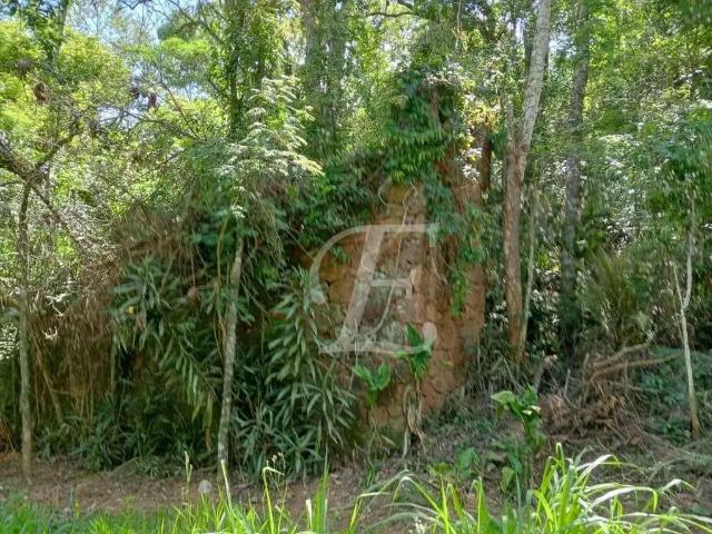 Terreno em Condomínio para Venda em Mairiporã/SP Caraguatá