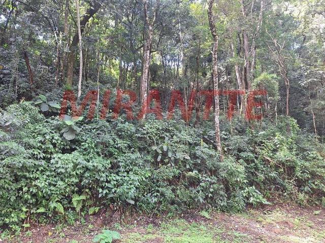 Terreno em Condomínio para Venda em Mairiporã/SP Caraguatá