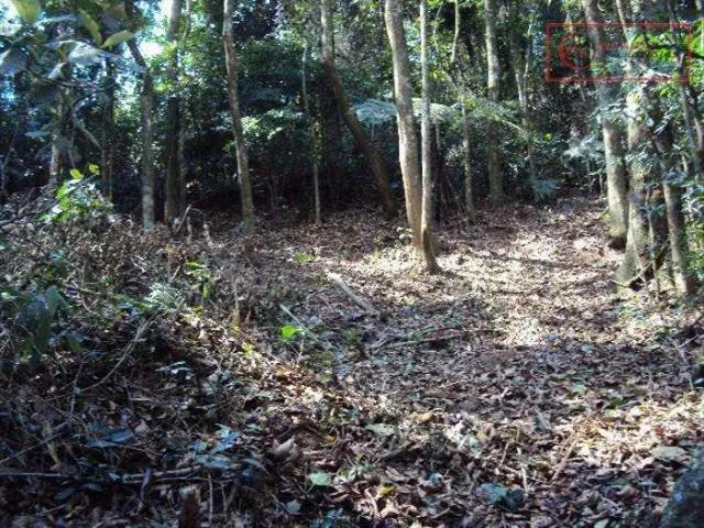 Terreno em Condomínio para Venda em Mairiporã/SP Jardim da Montanha