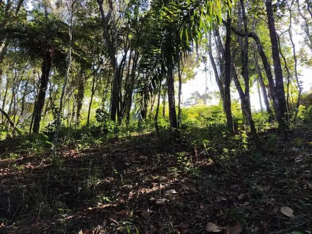 Terreno em Condomínio para Venda em Mairiporã/SP Lago da Cantareira
