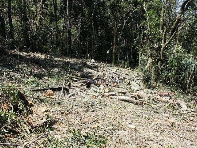 Terreno em Condomínio para Venda em Mairiporã/SP Parque Imperial