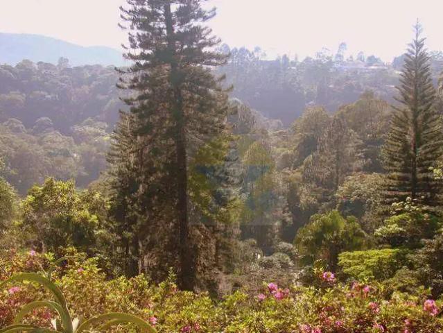 Terreno em Condomínio para Venda em Mairiporã/SP Rio Abaixo