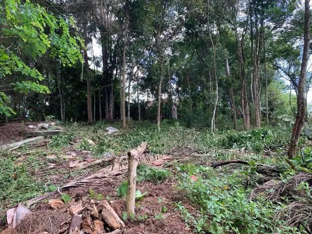 Terreno em Condomínio para Venda em Mairiporã/SP Rio Abaixo