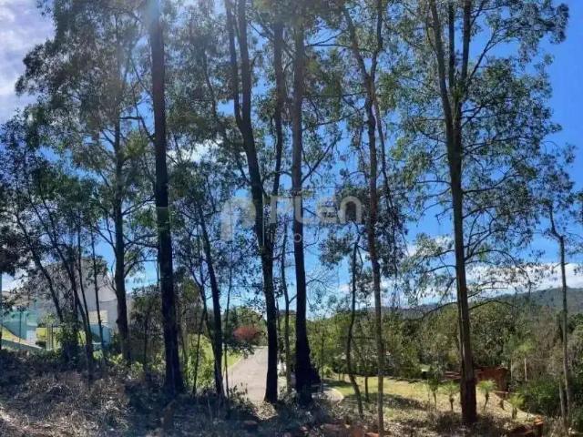 Terreno em Condomínio para Venda em Mairiporã/SP Roseira