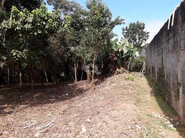 Terreno em Condomínio para Venda em Mairiporã/SP Roseira