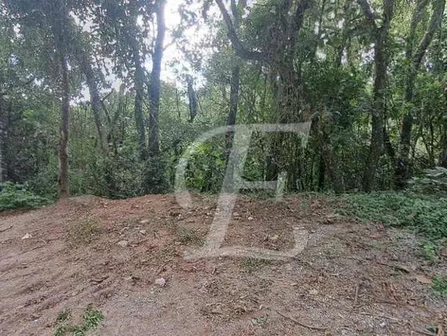 Terreno em Condomínio para Venda em Mairiporã/SP Roseira