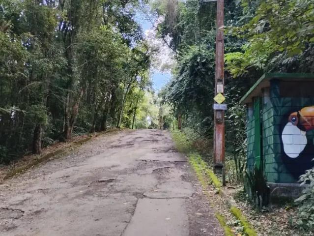 Terreno em Condomínio para Venda em Mairiporã/SP Santa Inês