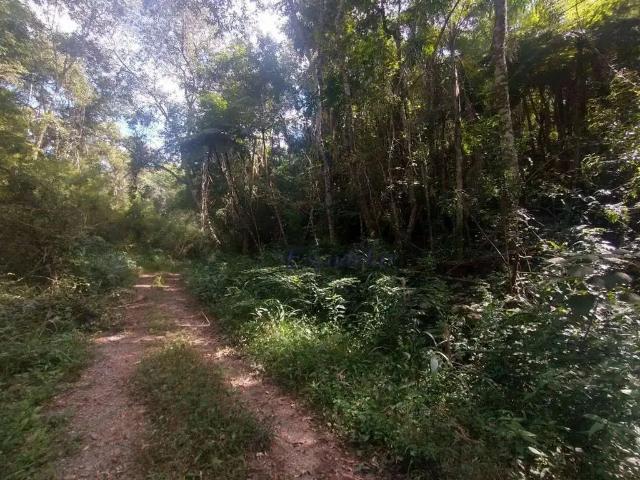 Terreno em Condomínio para Venda em Mairiporã/SP Serra da Cantareira