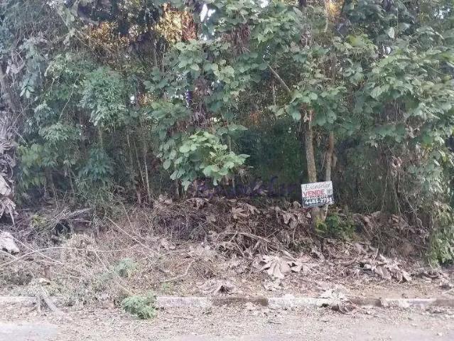 Terreno em Condomínio para Venda em Mairiporã/SP Serra da Cantareira