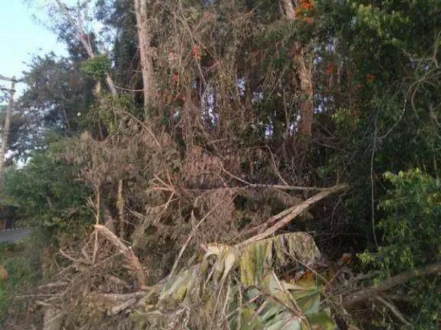 Terreno em Condomínio para Venda em Mairiporã/SP Serra da Cantareira