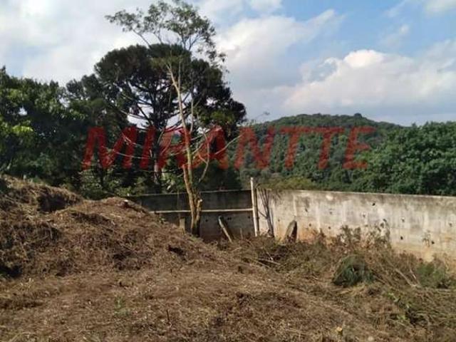 Terreno em Condomínio para Venda em Mairiporã/SP Serra da Cantareira