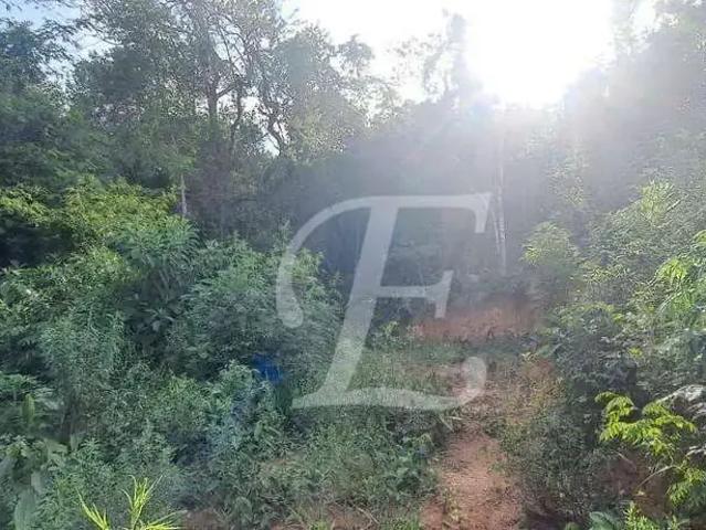 Terreno em Condomínio para Venda em Mairiporã/SP Serra da Cantareira