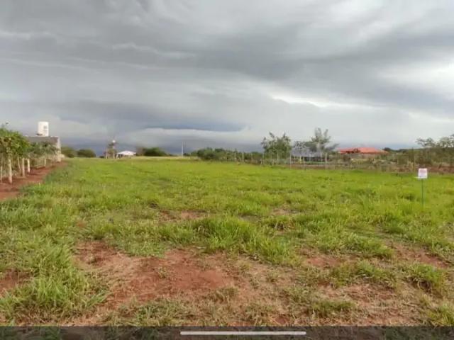 Terreno em Condomínio para Venda em Martinópolis/SP Laranja Doce