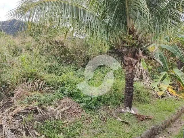 Terreno em Condomínio para Venda em Maricá/RJ Jaconé Ponta Negra