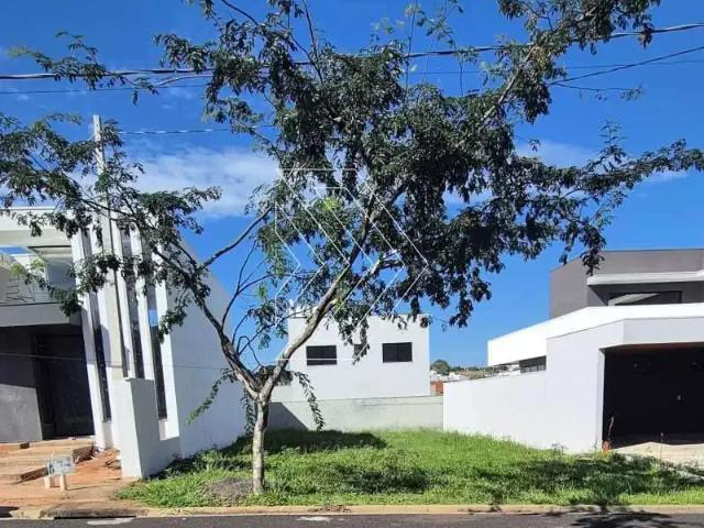 Terreno em Condomínio para Venda em Marília/SP Jardim Maria Izabel