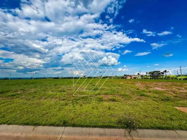 Terreno em Condomínio para Venda em Marília/SP Jardim Maria Izabel