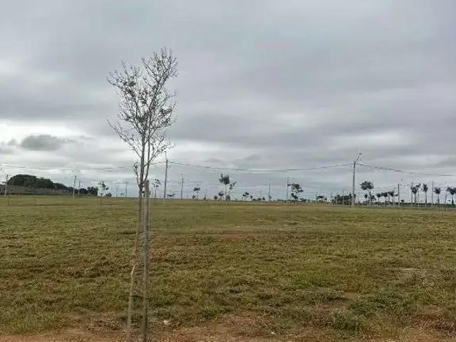 Terreno em Condomínio para Venda em Marília/SP Jardim Maria Izabel